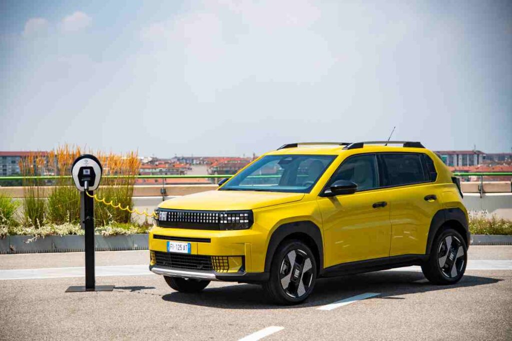 Pandina o Fiat Grande Panda, ultimi modelli e nuovi prezzi: quale ...