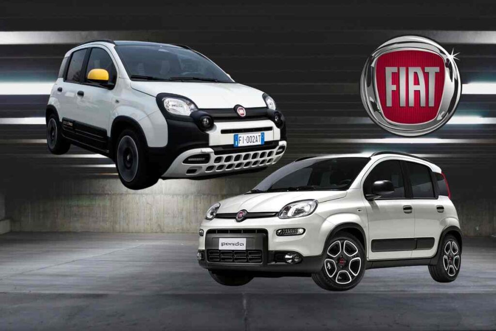 Che differenza c'è tra la FIAT Panda e la Pandina: tutti i dettagli sul ...